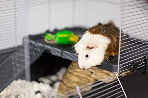 Prevue Pet Products 528 Universal Small Animal Home Dark Gray ...