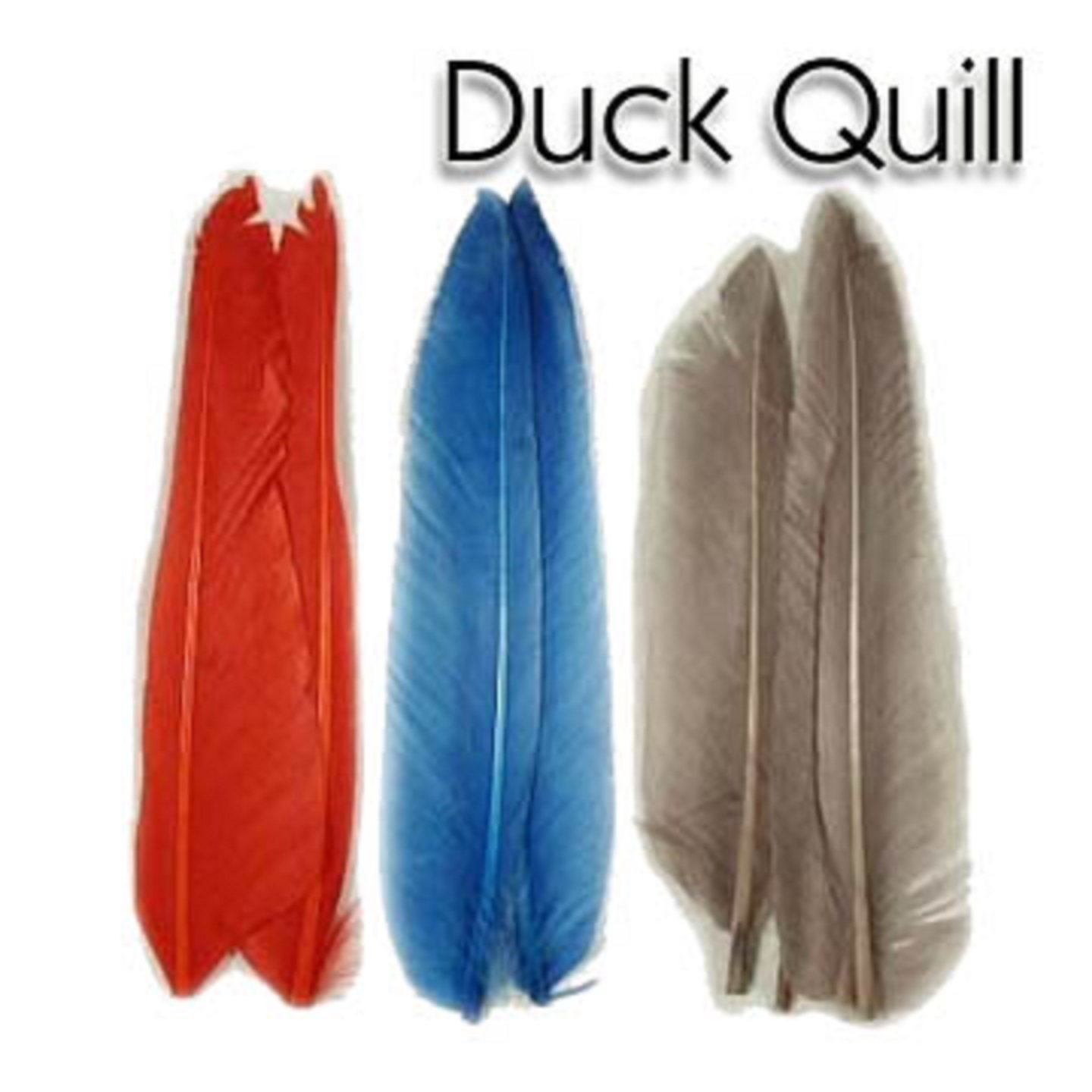 DUCK QUILLS -- 1 pair fly tying wet flies | eBay