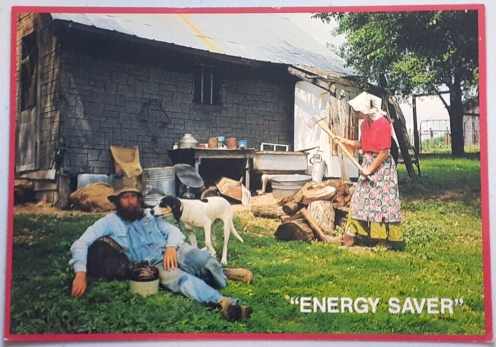 VTG Postcard Hillbilly Energy Saver Lazy Man, Woman Chopping Wood ...