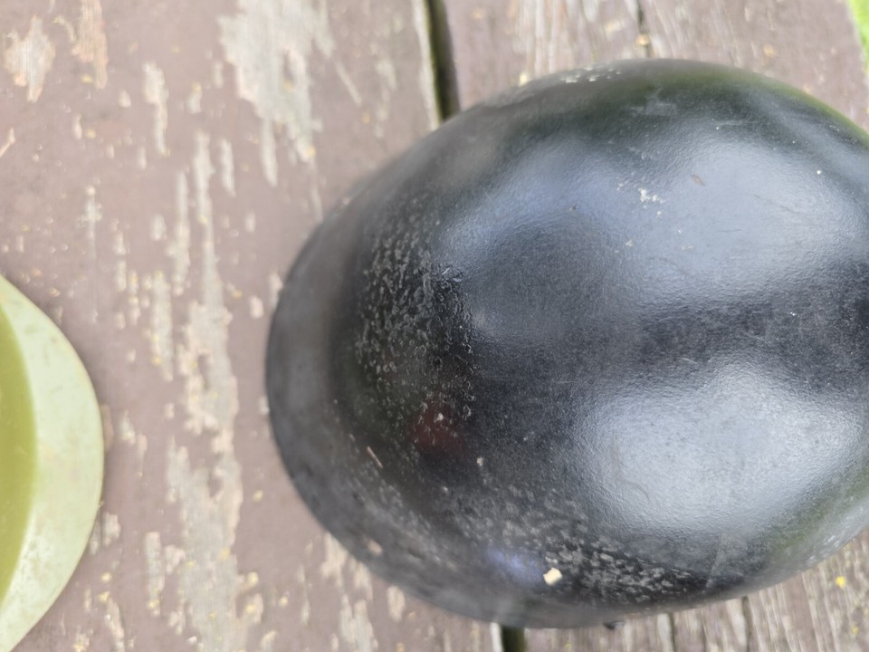 Original WW2 Czech M32 Eggshell Helmet | eBay