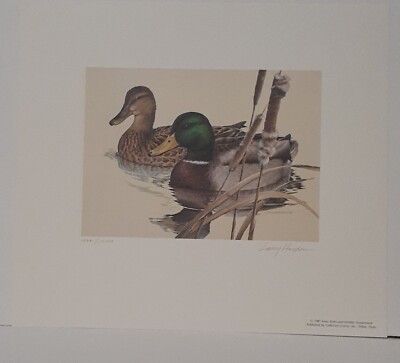 TEXAS Duck Stamp Prints ~Set of 9 all Number 1504 "1981 - 1989" All New ...