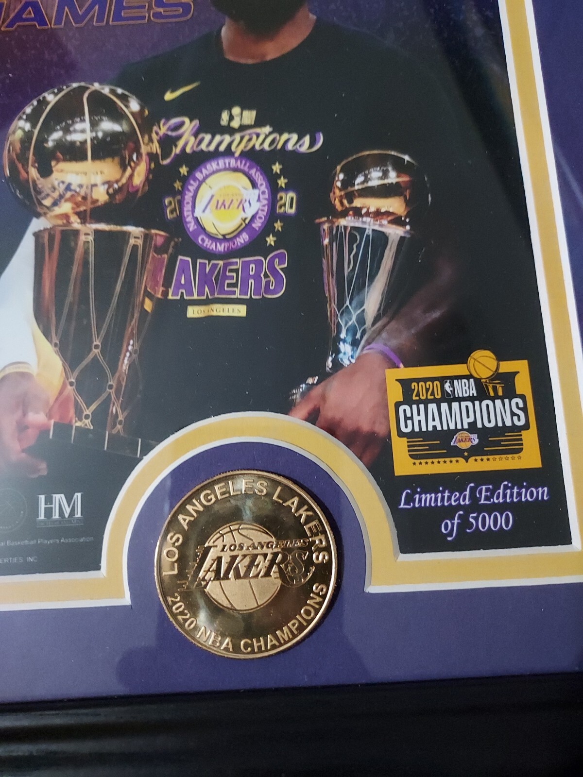 10x12 2020 LAKERS - LeBRON JAMES Championship Pic Framed Photo w/Coin ...