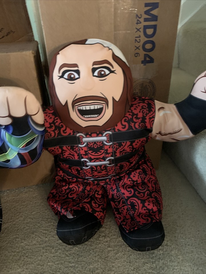 Superstar Buddy Wrestling 21" Plush Pillow Matt & Jeff Hardy Boyz WWE ...