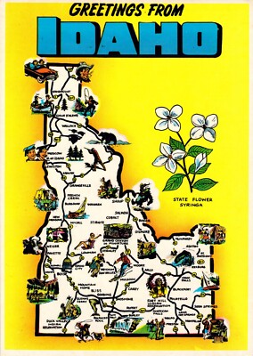 Greetings from Idaho-State Flower Syringa-Map-VTG Postcard M13 | eBay