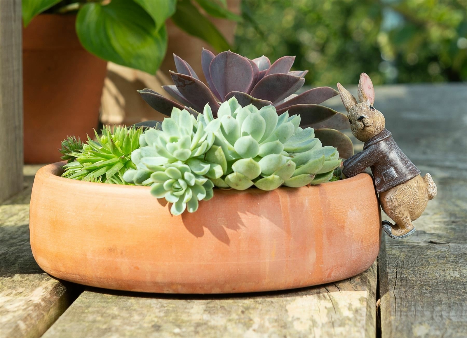 Pot Buddies Beatrix Potter Bunny Figure Plant Pot Hanger - Handmade ...