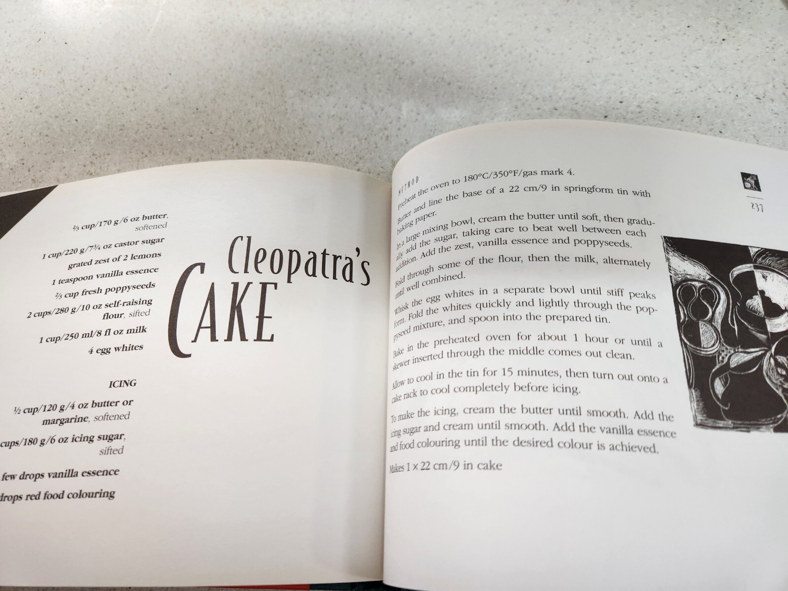 THE FAMILY FRYING PAN by Bryce Courtenay - HC - FREE POST | eBay