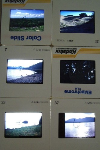 6 Original Vintage 35mm Kodak Photo Color Slide Nature Kodachrome ...