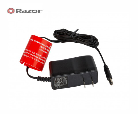 Razor RipStik Electric Charger | eBay