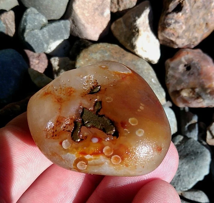 Lake Superior Eye Agates