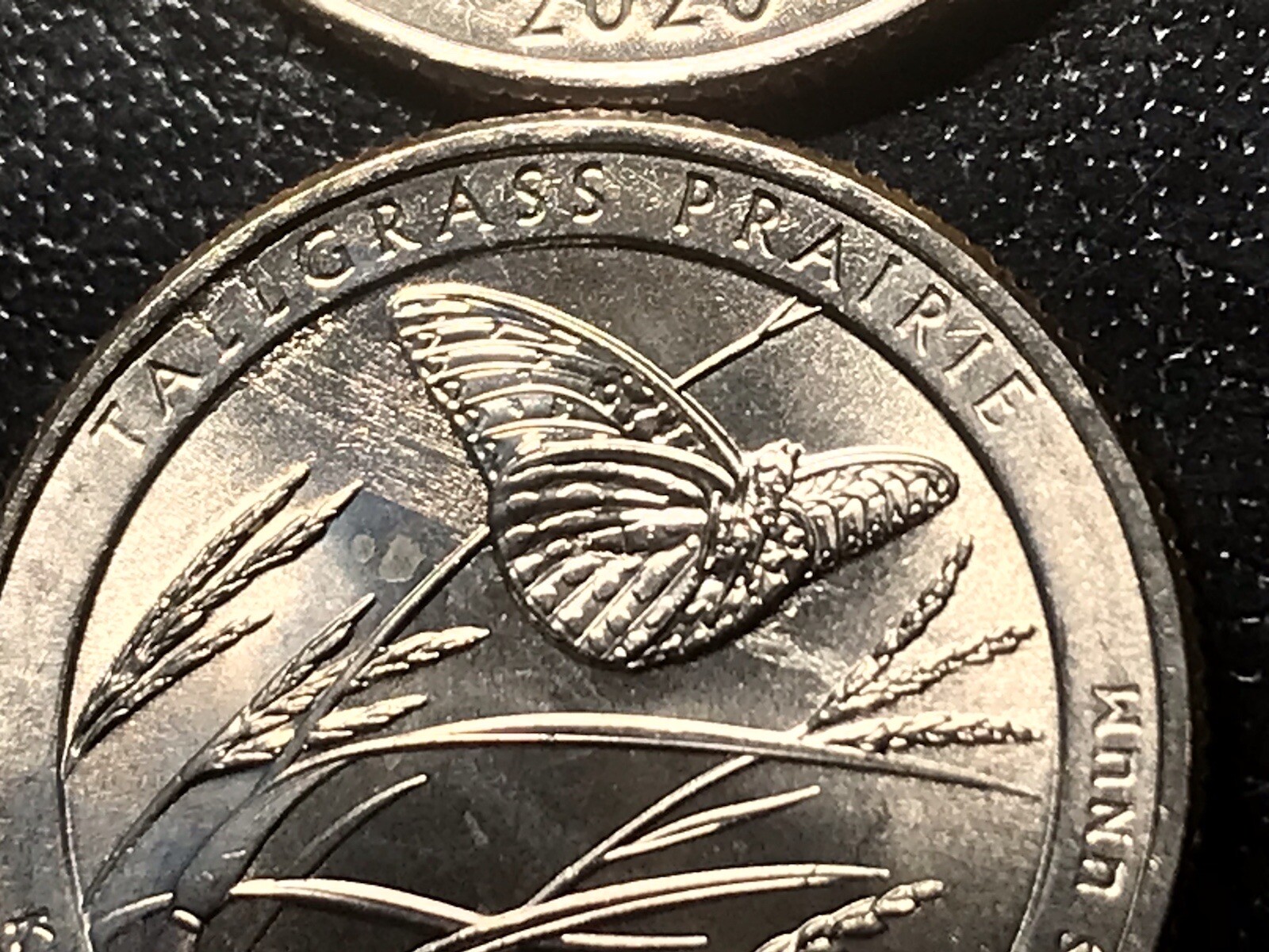 2020 P Washington Quarter Tallgrass Prairie. Mint Error or new variety ...