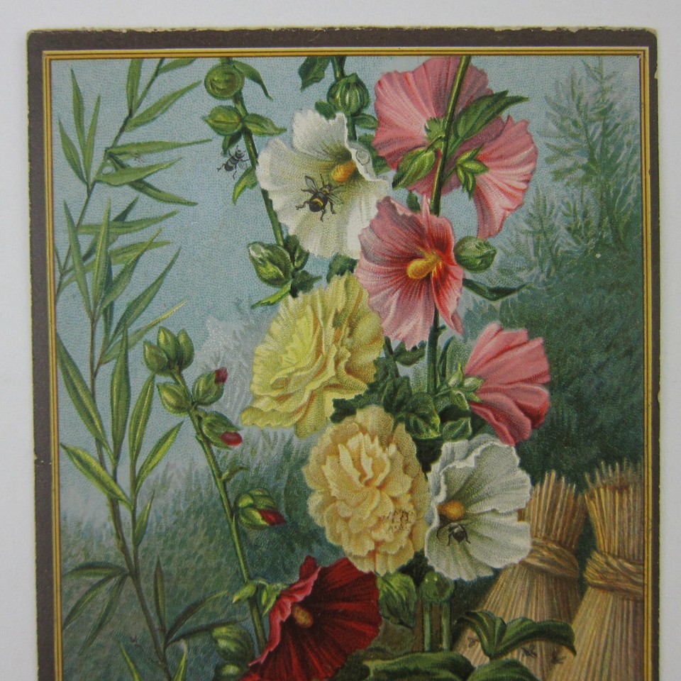 Victorian Greeting Card Flowers Red Pink White Hollyhocks Bee Dragonfly ...