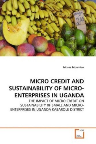 MICRO CREDIT AND SUSTAINABILITY OF MICRO-ENTERPRISES IN UGANDA | Moses ...