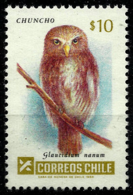 FAUNA, OWL, CHUNCHO, GLAUCIDIUM NANUM, YEAR 1985, MNH | eBay