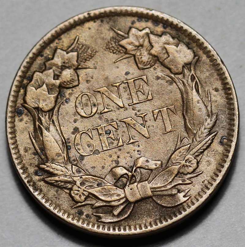 1857 Flying Eagle Cent - Pitting - US 1c Penny Coin | eBay