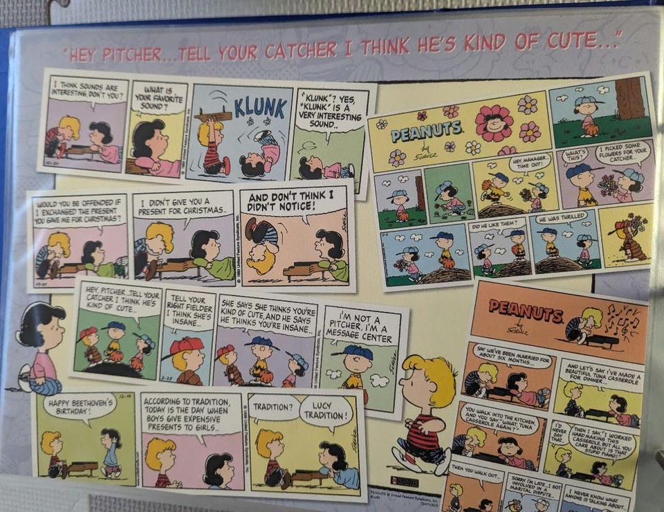 Peanuts Lucy Willabee Ward Schroeder Embroidered Cloth Patch from Japan ...