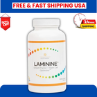 1 AUTHENTIC LifePharm Laminine Supplement 120 Capsules Total - EXP 07/ ...