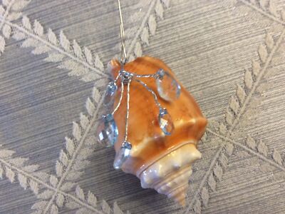 Conch Seashell Beach Nautical Shell Ornament Holiday Decor With Blue ...