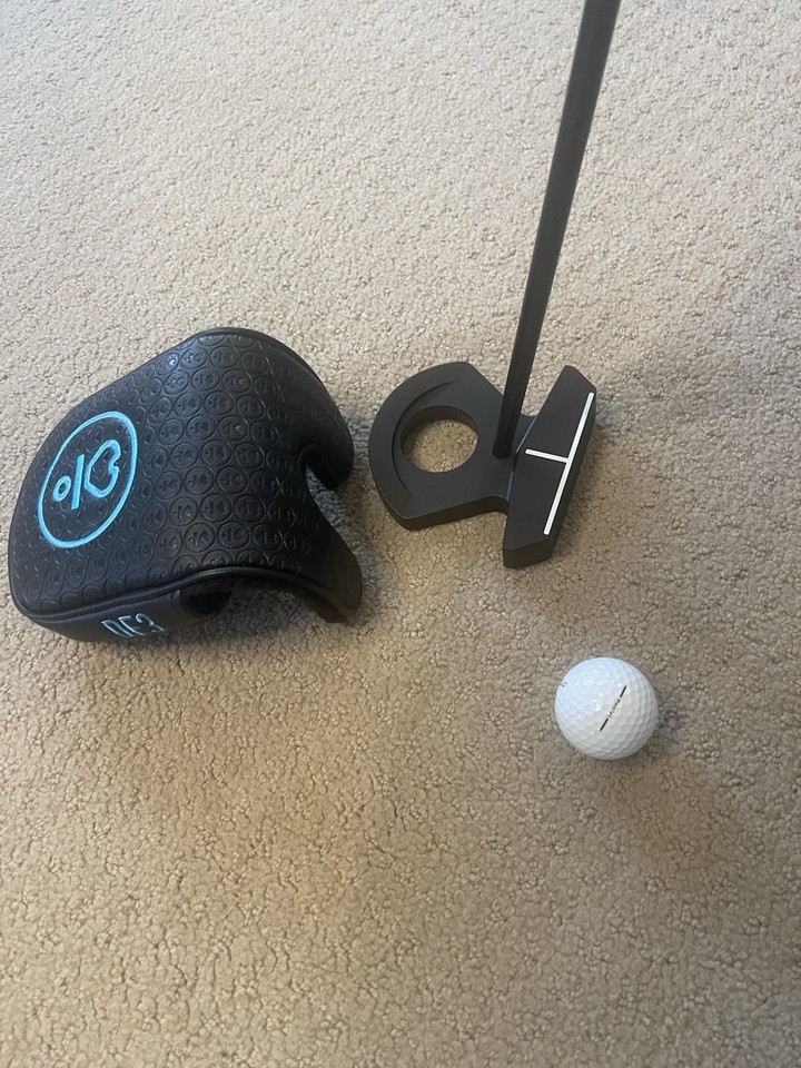 2025 Custom LAB Golf DF3 Arm Lock Putter Heavier Head | eBay