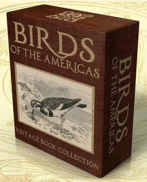 BIRDS of the AMERICAS 148 Vintage Books on DVD-Rom Ornithology ...