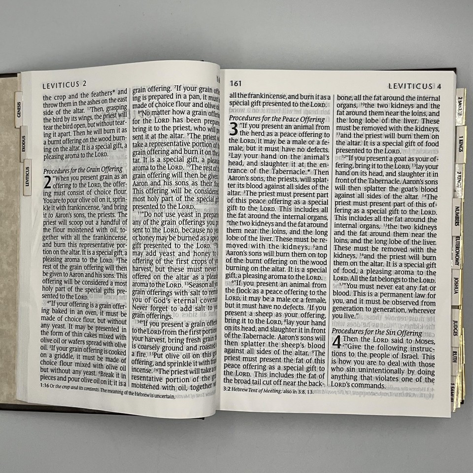 Holy Bible NLT Giant Print Red Letter Hardcover New Living Translation ...