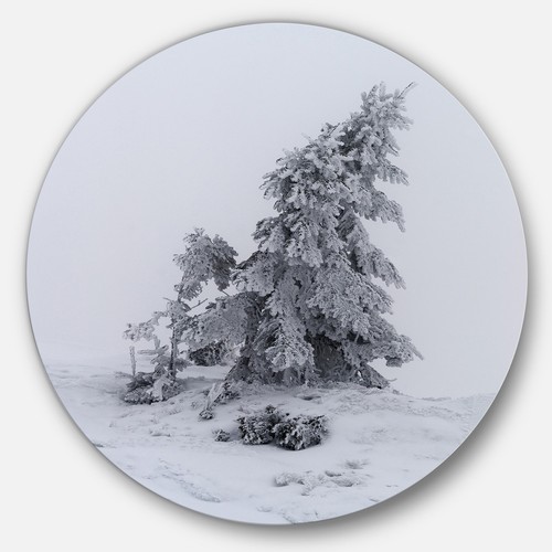 Designart 'Grayscale Valley in Frost' Landscape Photo Disc Black 23 x ...