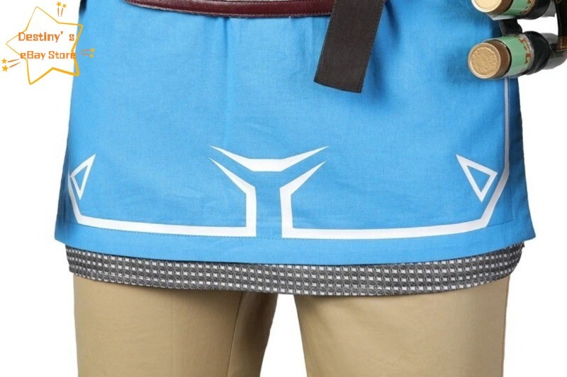 The Legend of Zelda: Tears of the Kingdom Zelda Role Play Link Costume ...