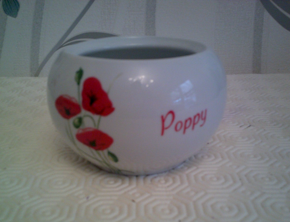 Dunelm Poppy Tea Set - Tea Pot, Milk Jug, Sugar Bowl | eBay