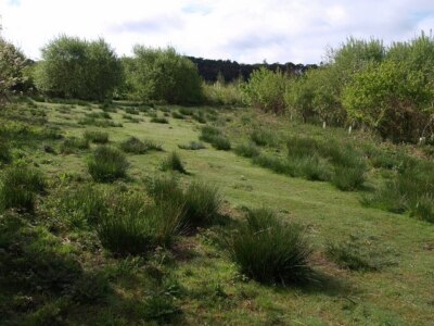 Photo 6x4 Kea Wood Truro From the information board: "Kea Wood was a ...