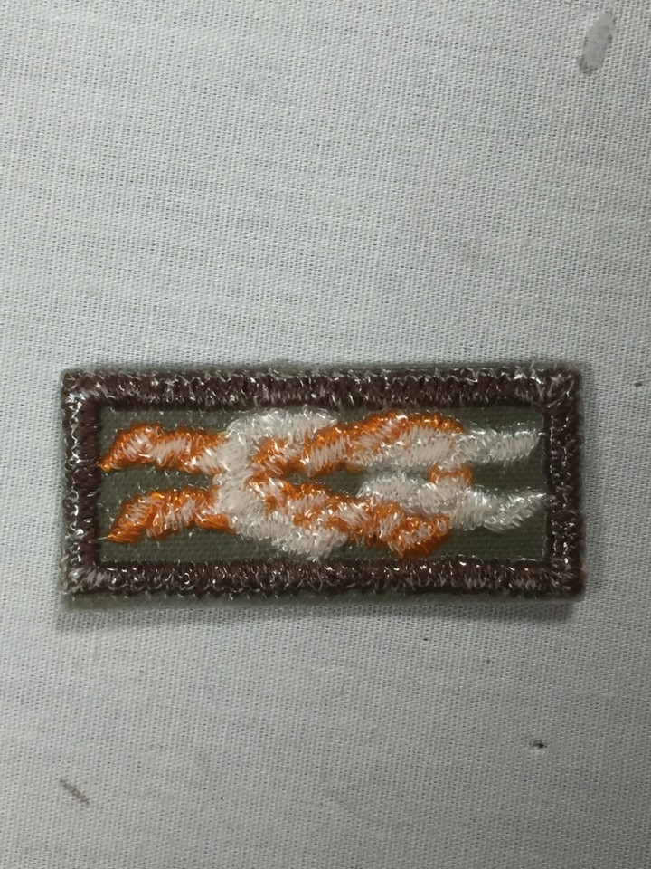 Silver Antelope Regional Award Khaki Plastic back BSA Knot Patch | eBay