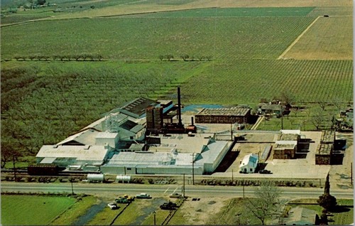 Escalon CA Escalon Packers INC Chrome Postcard 679 | eBay