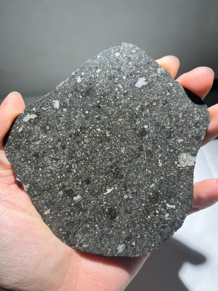 Allende CV3 Meteorite First meteorite with alien proteins Stone ...
