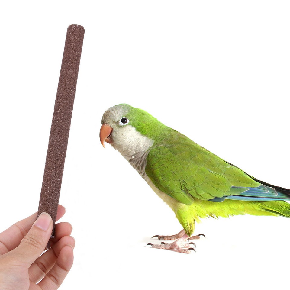 Bird Standing Stick Colourful Pet Bird Molar Stick Portable for Little ...