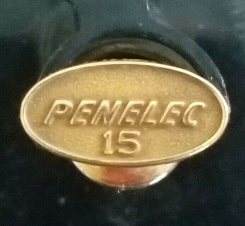 Vintage 10KT Gold Penelec 15 yr Service Award Tie Tac PA Electric Co | eBay