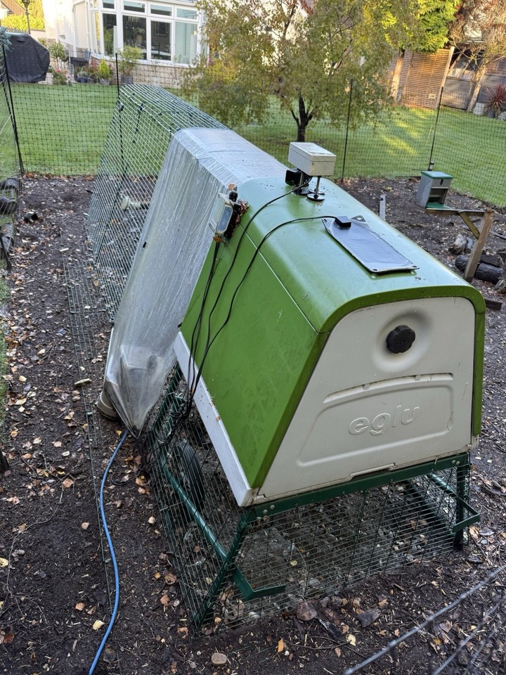 Eglu Go Up | eBay UK