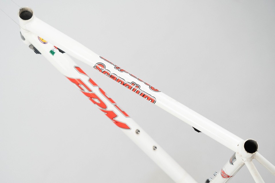 FRM SCANDIUM EASTON SC7000 ALUMINIUM FRAME VINTAGE ROAD RACING BIKE ...