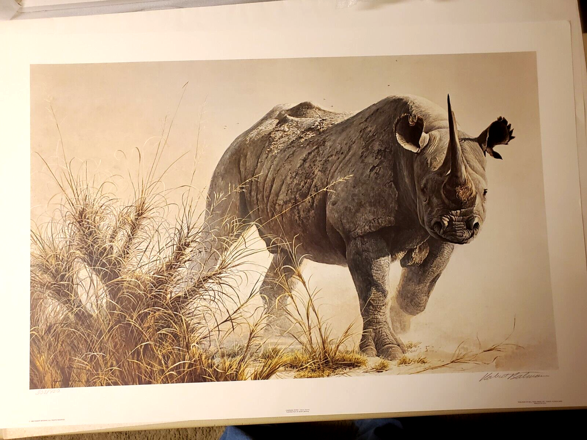 Charging Rhino Drawing Charging Rhino Vectors 55394802 Vector Art At