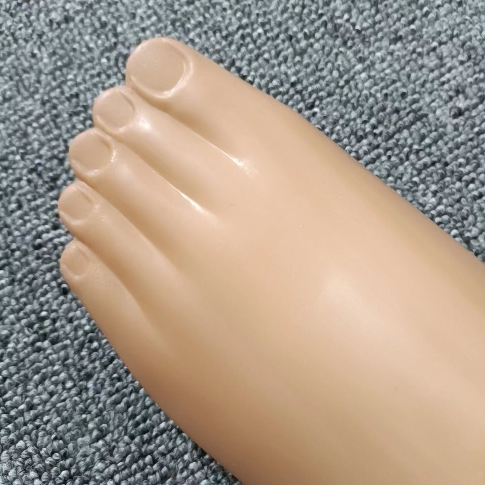 Prosthetic foot Axis foot Single hole Polyurethane synthetic wood size ...