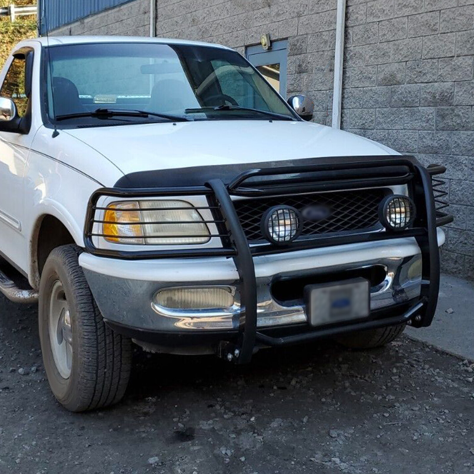 For Ford 1997-04 Expedition F-150 F-250LD Heritage Black Grill Brush ...