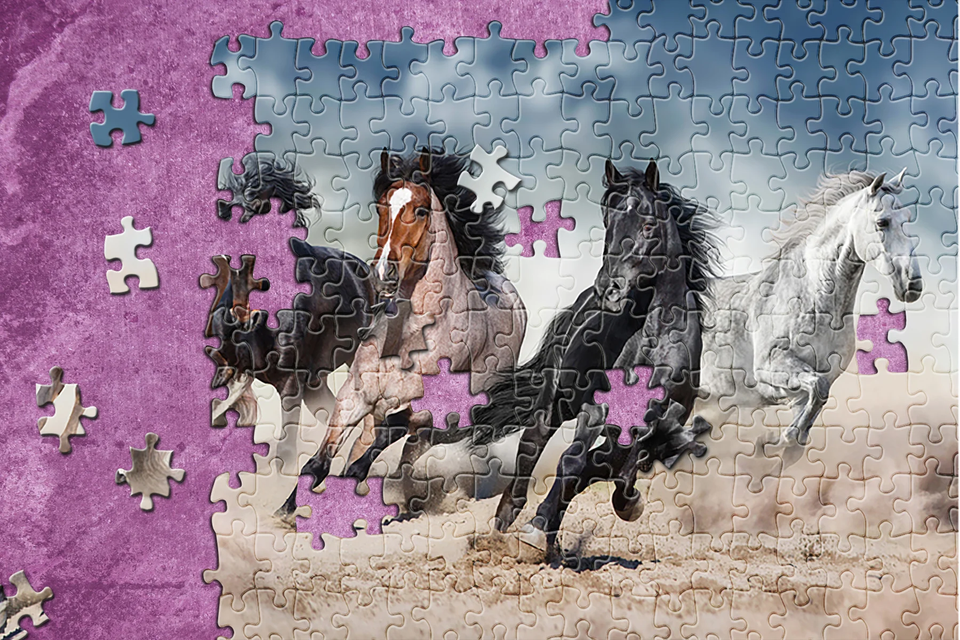 AMAZING PUZZLES 1000 Piece Jigsaw Puzzle 19x27in - Wild Horses | eBay