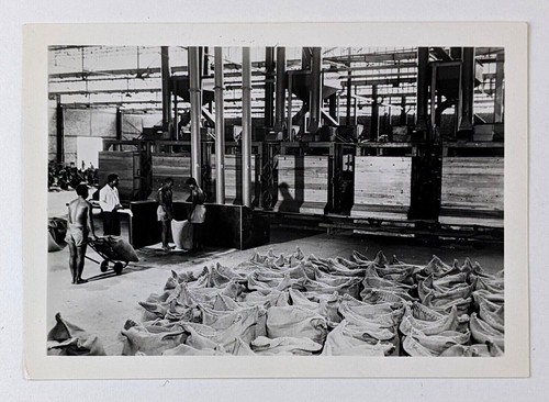 1940s Belgian Congo Coffee Factory Congolese Workers Africa VTG Press ...