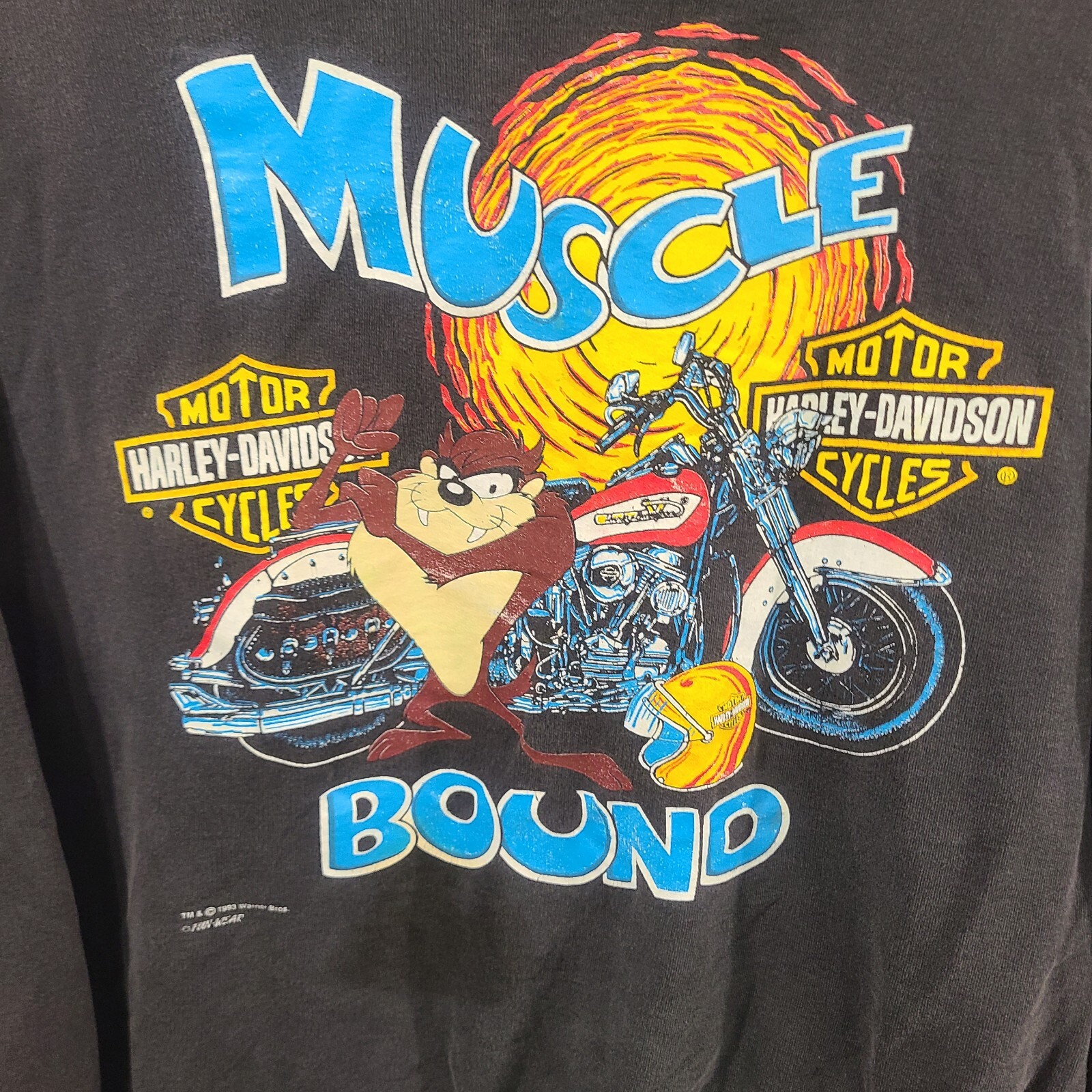 1993 Taz Harley Davidson Muscle Bound Mens Sweatshirt… - Gem