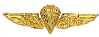US USMC NAVY Marines Corps PARACHUTE Gold Finish Badge Pin Superb ...