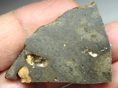 NWA 8555 Achondrite Eucrite-mmict Meteorite - G565-0315 - 13.09g COA ...
