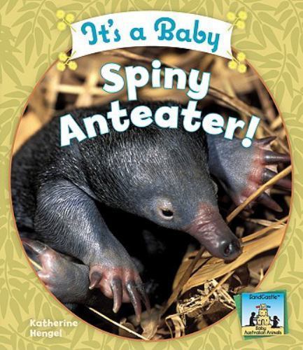 It's a Baby Spiny Anteater! by Katherine Hengel (2009, Library Binding ...