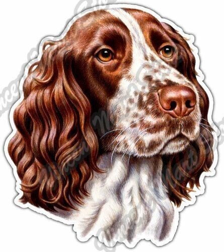 Springer Spaniel Hunting Dog Canine Pet Car Bumper Vinyl Sticker Decal ...