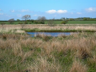 Photo 6x4 Pool In Tarbolton Moss This pool could be difficult to see ...