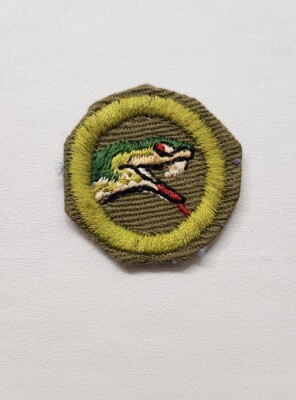 BSA Boy Scout Merit Badge Reptile Study Type E 1947-1960 | eBay