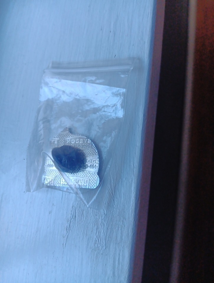 VTG Sams Club Lapel Pin Walmart Photo Collectible Employee Associate | eBay