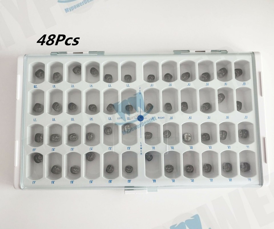 Dental Stainless Steel Permanent Molar Crown-Adult CROWN KIT OF 48/96 ...