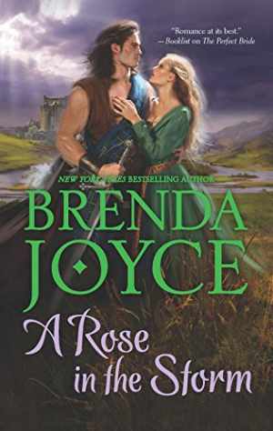 A Rose in the Storm - Paperback, by Joyce Brenda - Good 9780373777709| eBay